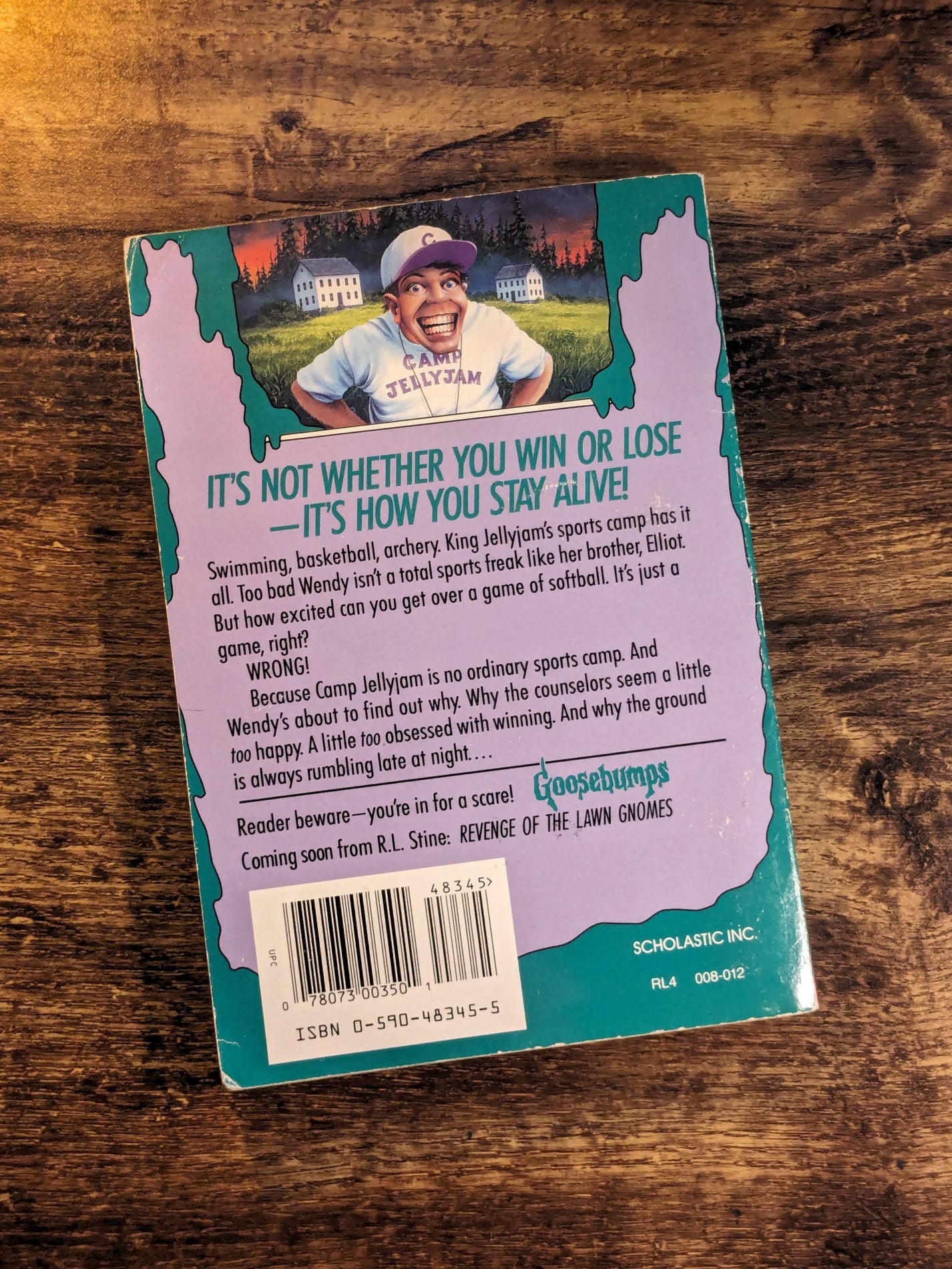 Horror at Camp Jellyjam, The (Goosebumps #33) by R.L. Stine - Vintage ...